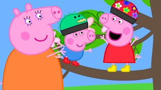 Peppa Pig Official Tree 2024 Watch HD Mp4 Video Download Free