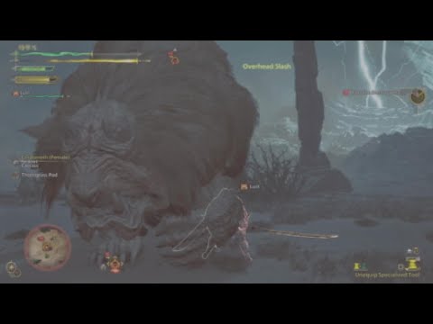 Monster Hunter Wilds Sand-Scarred Soul
