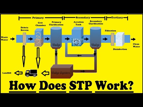 How does Sewage Treatment Plant work?