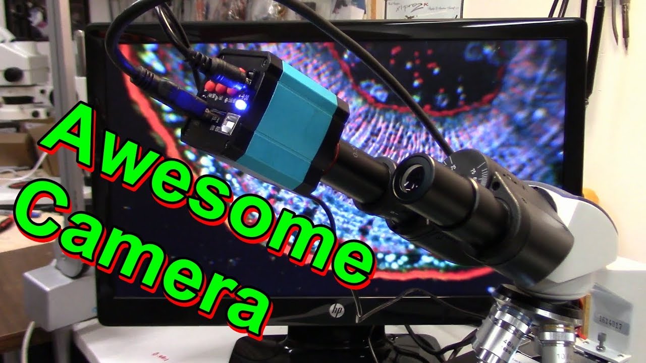 Cheap HD Microscope Camera Review - Compound & Stereo scope examples.