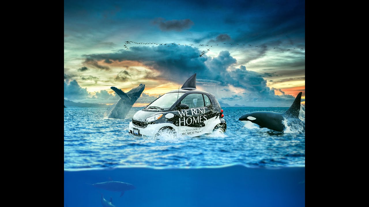 Why choose Orca Realty?