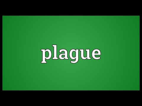 Plague Meaning