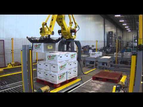 Automatic Palletizer at Best Price in India