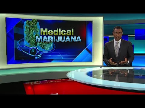 South Florida vendor begins selling medical marijuana to prescription holders