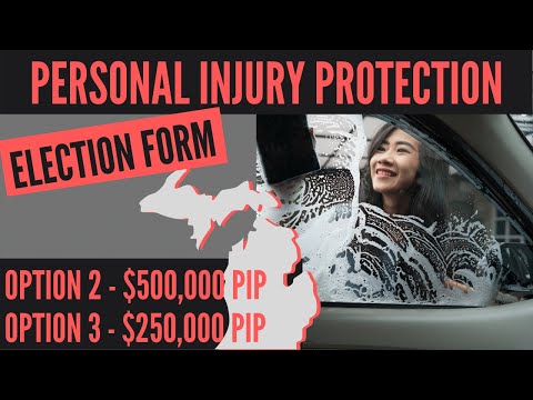 Auto Insurance PIP Form — Option 2 ($500k) + Option 3 ($250k)