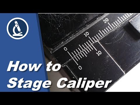 🔬 073 - What are those lines on the microscope stage good for?