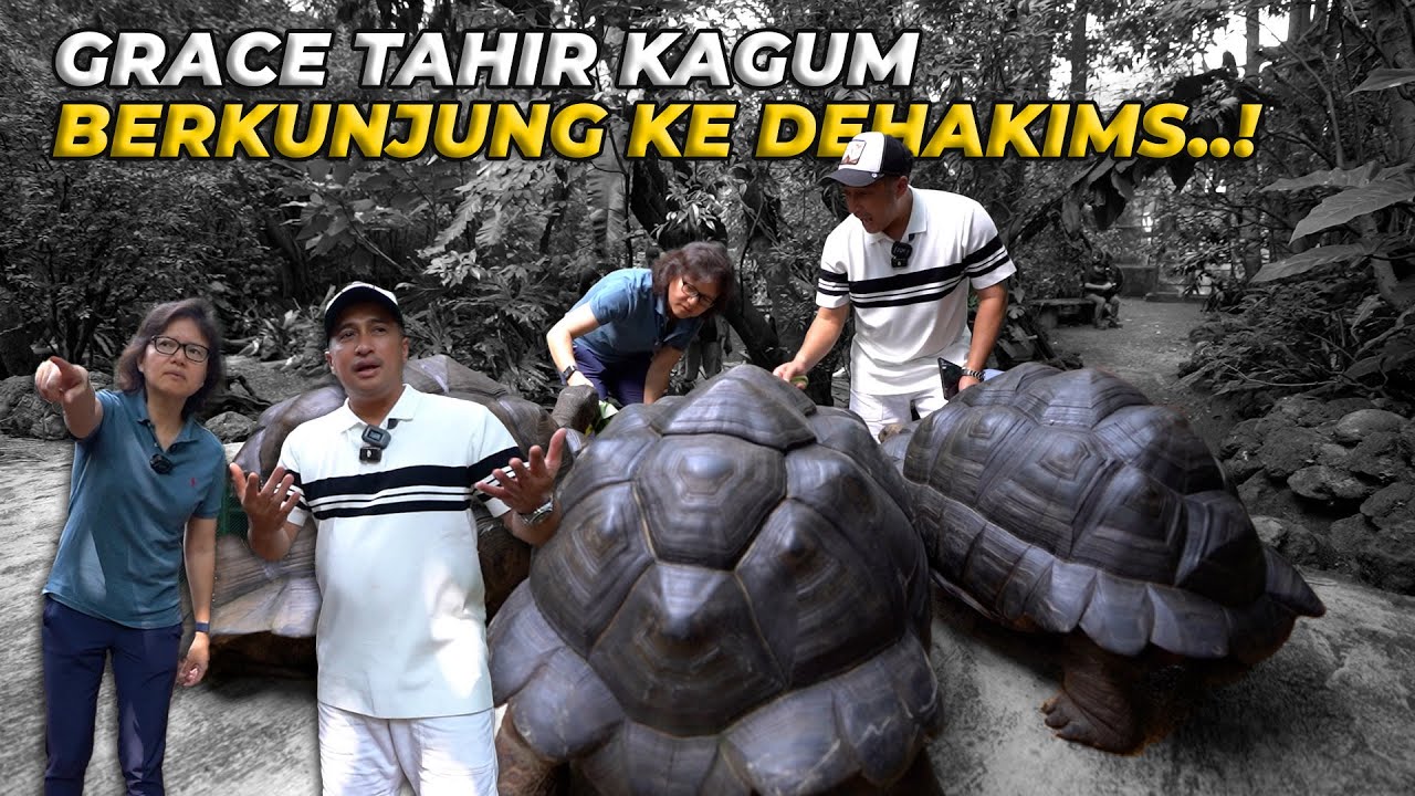 GRACE TAHIR SAMPE KEPO ADA APA AJA DI DEHAKIMS! - Random ...