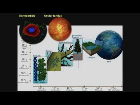 From Face Detection to the Faces of Scientific Images