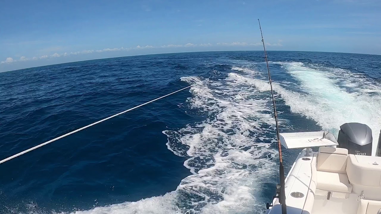 How To Use Anchor Ball/Buoy Easy
