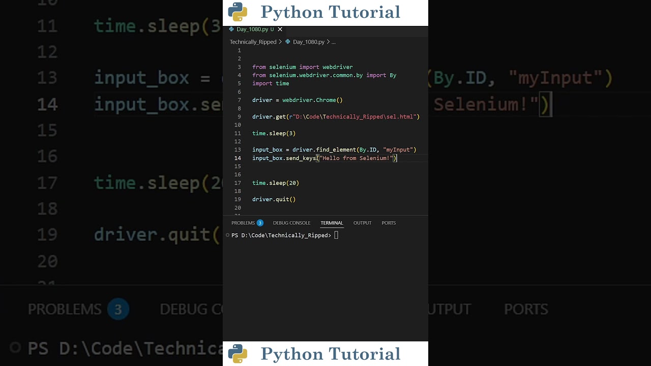 How to Enter Text in Selenium Python | Python Tutorial
