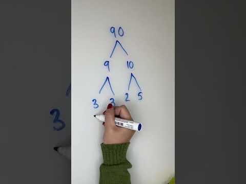 Can you break down a number in to prime factors?