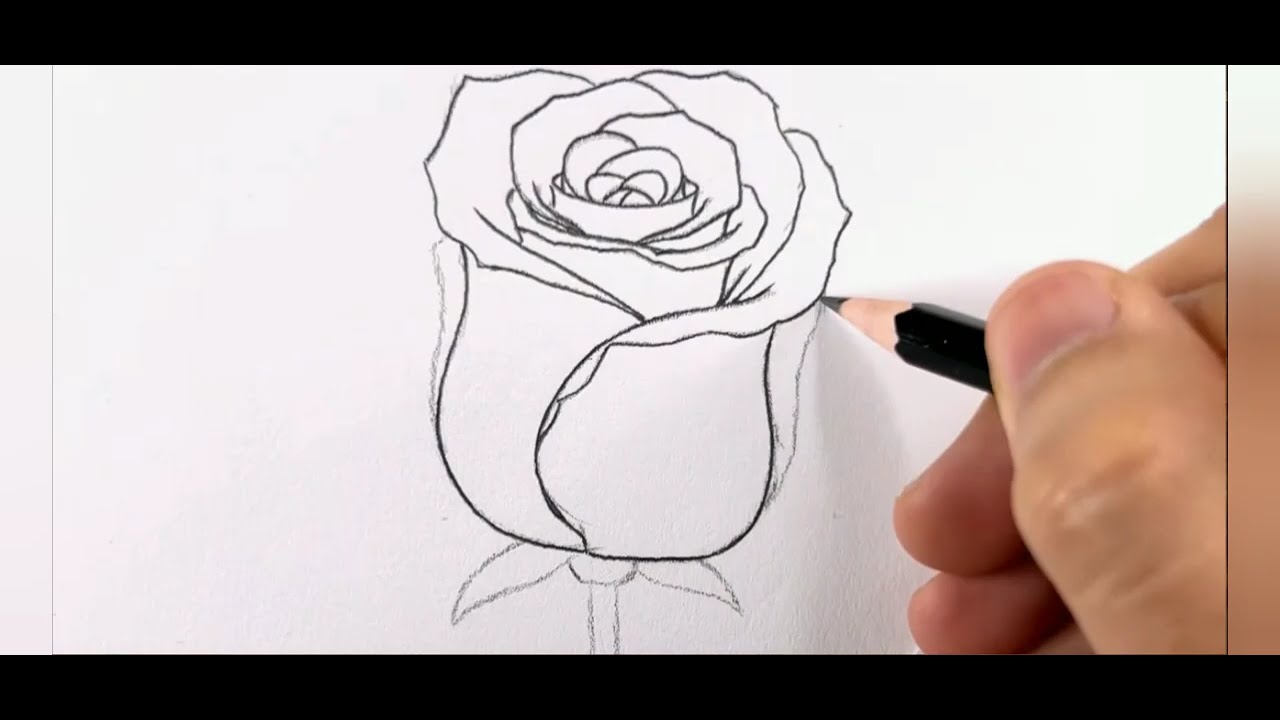 How to draw Rose Drawing #Drawing #art #artdrawing #sketch #rose #flower #roseflower@idolcanvas-y5l 