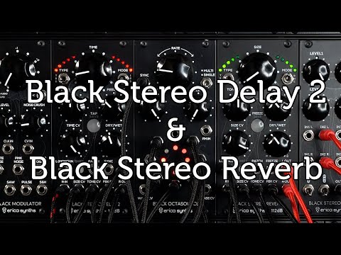 Erica Synths Black Stereo Reverb (BPNYC) | Reverb