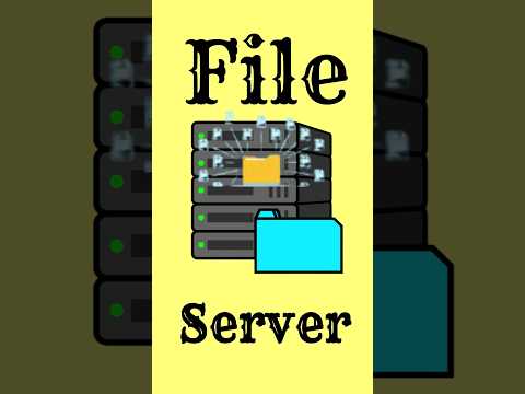 What is a File Server?