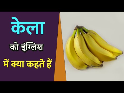 Kele ko English Mein Kya Kahate Hain | Kela Ko English Mein Kya Bolte Hain | Kela in english means