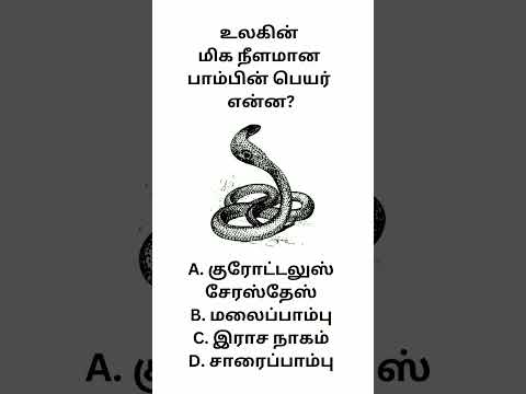 உலகின் மிக நீளமான பாம்பின் பெயர் என்ன?#generalknowledge #gkquestion #generalquestions #tamilquestion