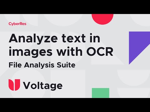 Using Optical Character Recognition (OCR) in File Analysis Suite