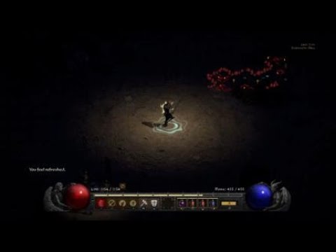 Cant kill these enemies, is this a bug? - Console Bug Report - Diablo 2 ...