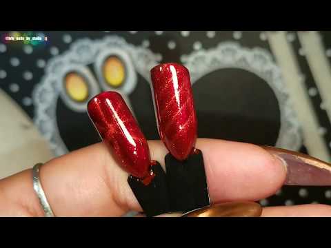 Aliexpress 3D Cat Eye Magnets Review 💅
