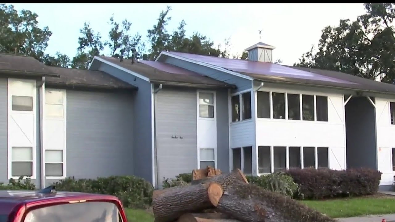 Tree removed after falling on apartment building, displacing families