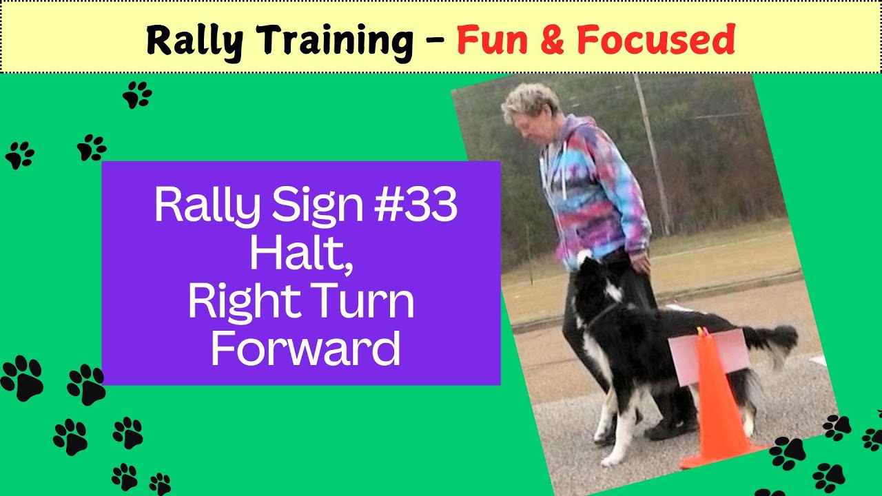Rally Sign #33 Halt Right Turn Forward - Training Fun & Focused ...