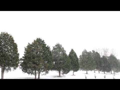 Snow in Sevierville December 13, 2010