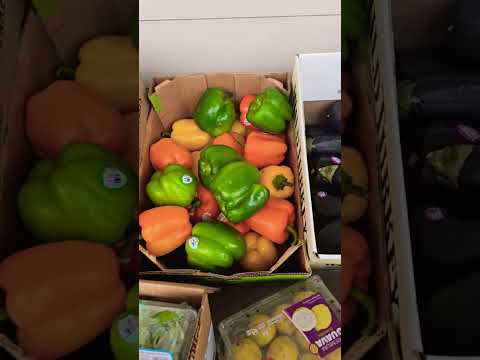 Free Food - #foodbank #frugal #haul #foodpantry #howtodavemoney #eatingonabudget #frugalliving #free
