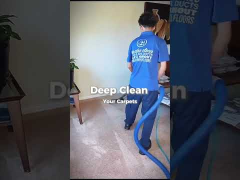 Your Personal Carpet Cleaner Doesn't Cut it!