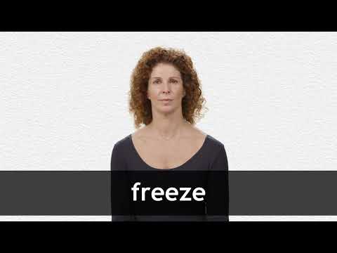 How to pronounce FREEZE in American English