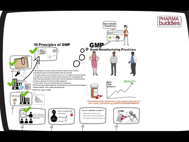 Understanding the 10 Principles of Good Manufacturing Practices (GMP ...