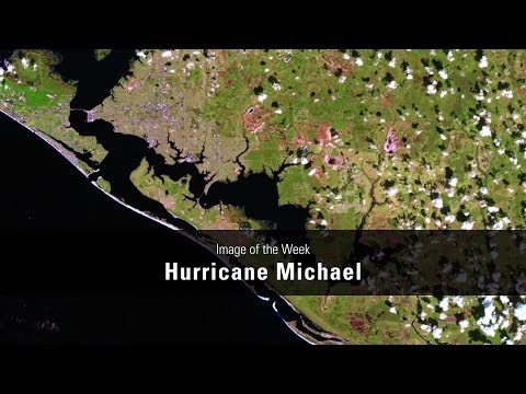 Image of the Week - Hurricane Michael