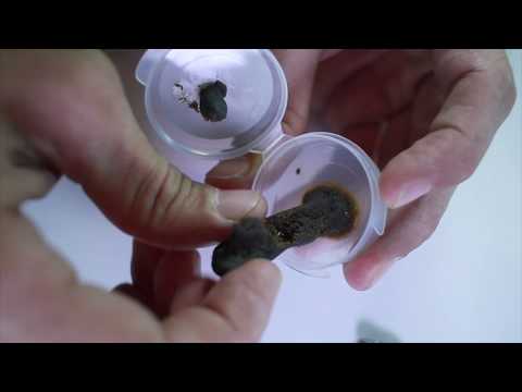 Medical Seeds - Making off shooting @Linusmaphotography.
