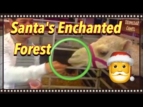 Santa's Enchanted Forest | Holiday Theme Park Miami, Florida
