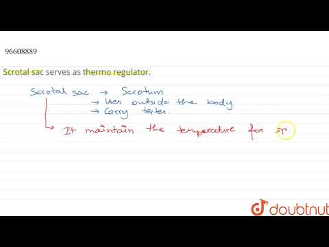 Scrotal sac serves as thermo regulator. | CLASS 12 | GIVE REASONS | BIOLOGY | Doubtnut