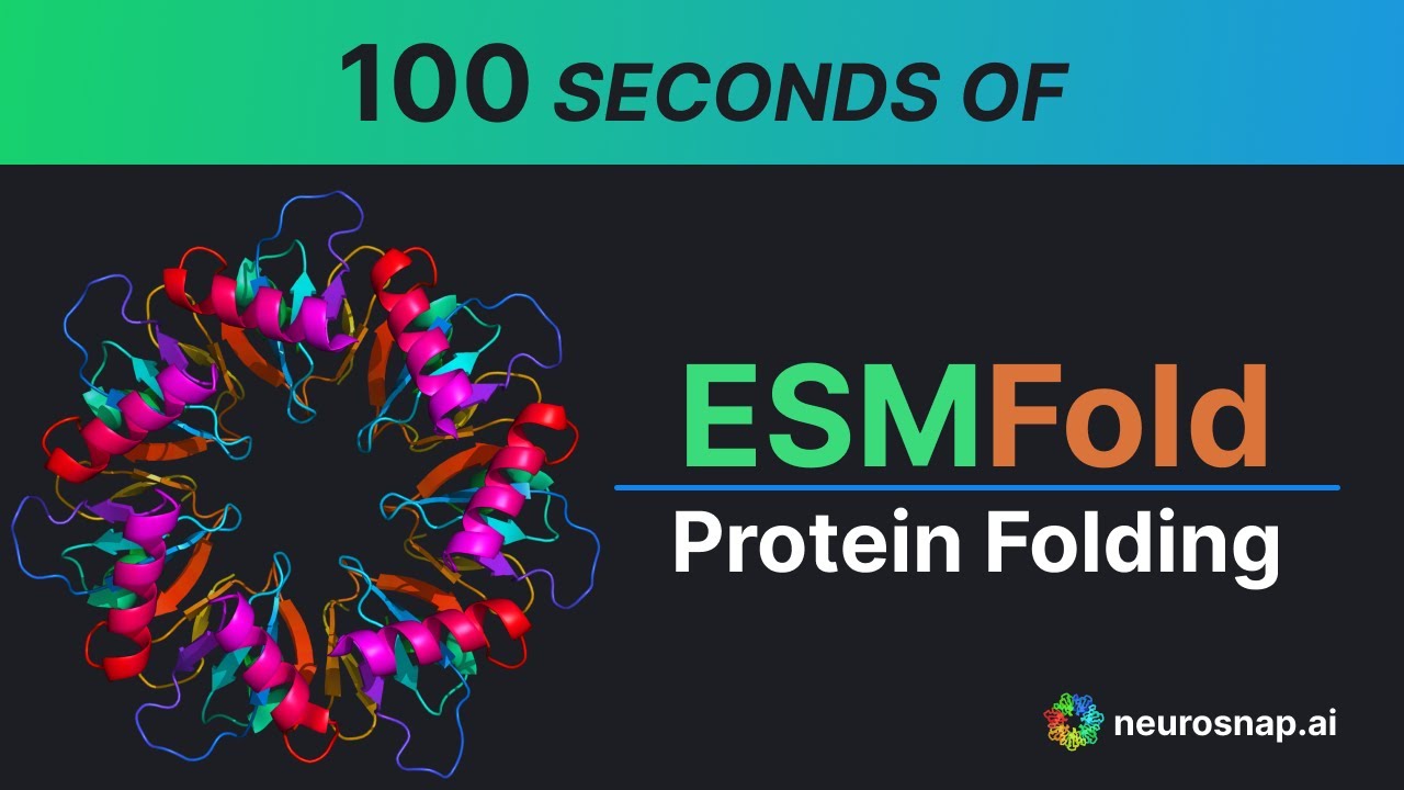 ESMFold Full Tutorial | How to use ESM-Fold for your research