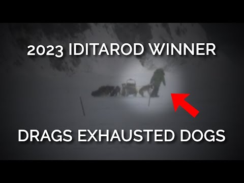 2023 Iditarod Winner Drags Exhausted Dogs