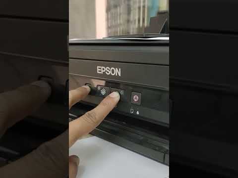Epson ink reset error