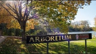 3 Best Hiking Trails in Madison, WI - Expert Recommendations