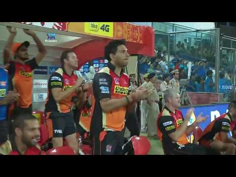 SRH Team Profile IPL 2017