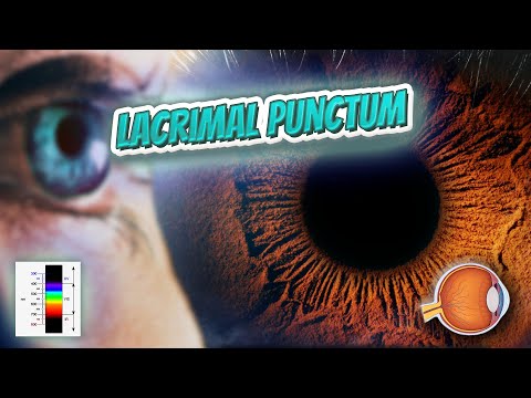 Lacrimal punctum (Your EYEBALLS) ποΈποΈππ³πππ―β