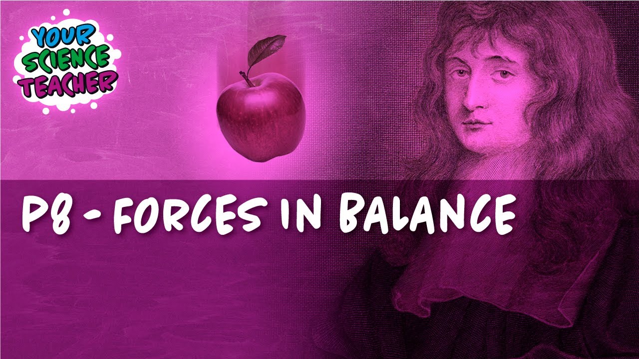 P8 - WHOLE TOPIC GCSE FORCES