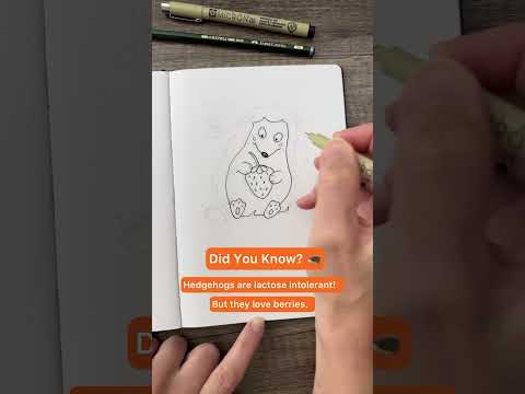 Woodland Animal Facts: Did You Know?