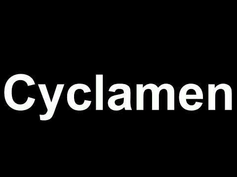 How to Pronounce "Cyclamen"