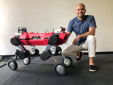 Hybrid Locomotion for Wheeled-Legged Robots (Presentation)