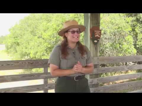Cape Hatteras Lighthouse in History