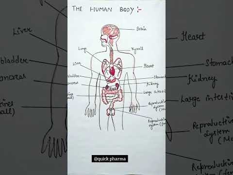 | Human anatomy and Physiology-1 | unit1st chapter1st | Human Body | #youtubeshorts #shorts