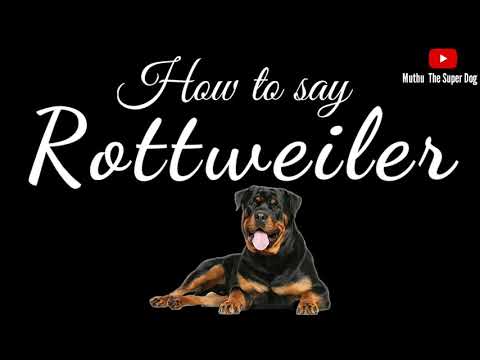 How to pronounce Rottweiler | Dog breed names