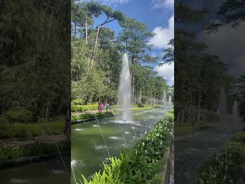#music #song #lyrics #shortsfeed #travel #shortsvideo #baguio #wrightpark