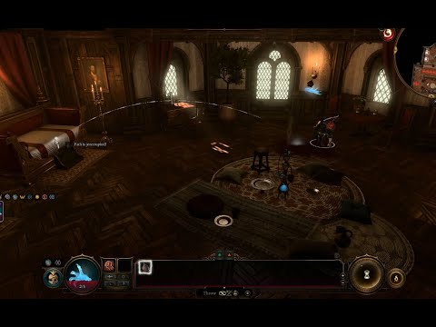 BG3 Mage Hand Guides - Equipment and Inventory