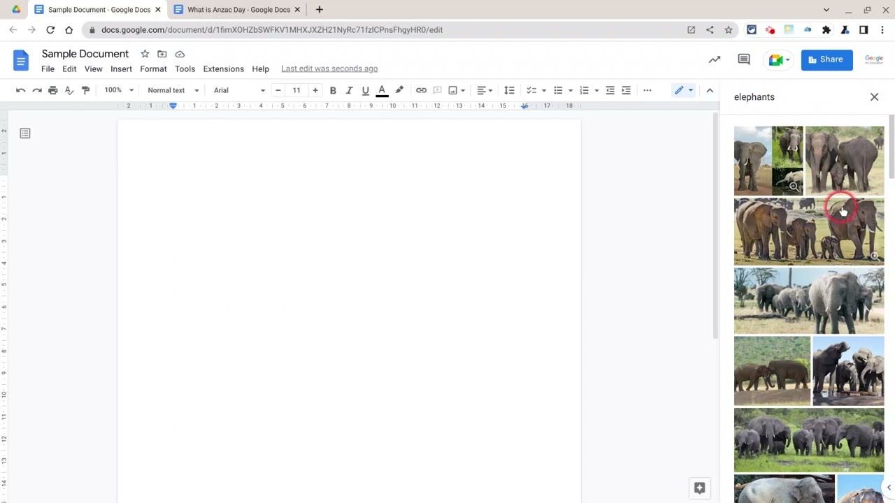 Insert images from the web